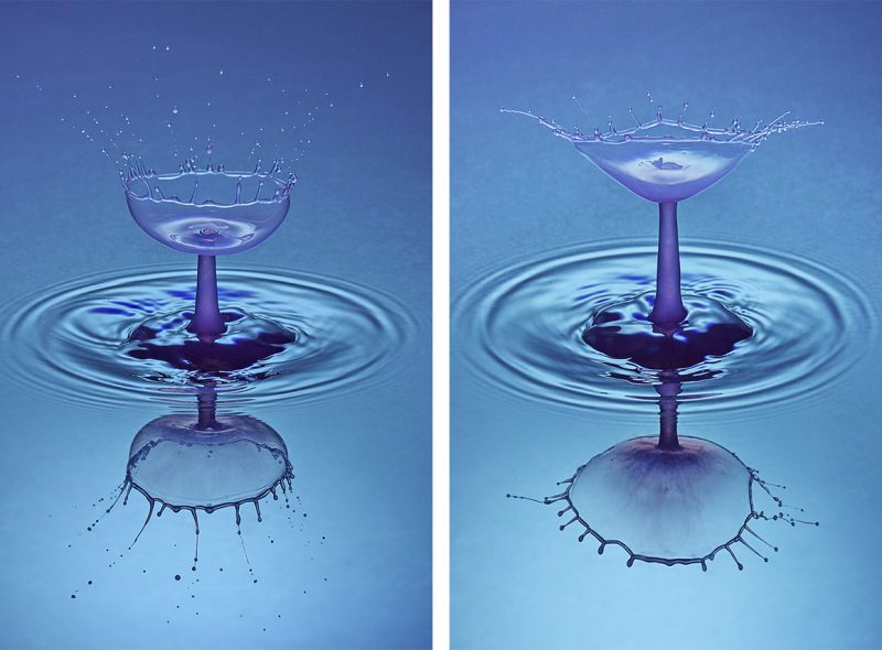 dropController – Water drop photography made easy