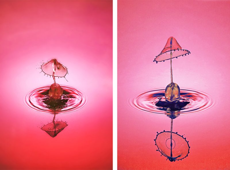 dropController – Water drop photography made easy